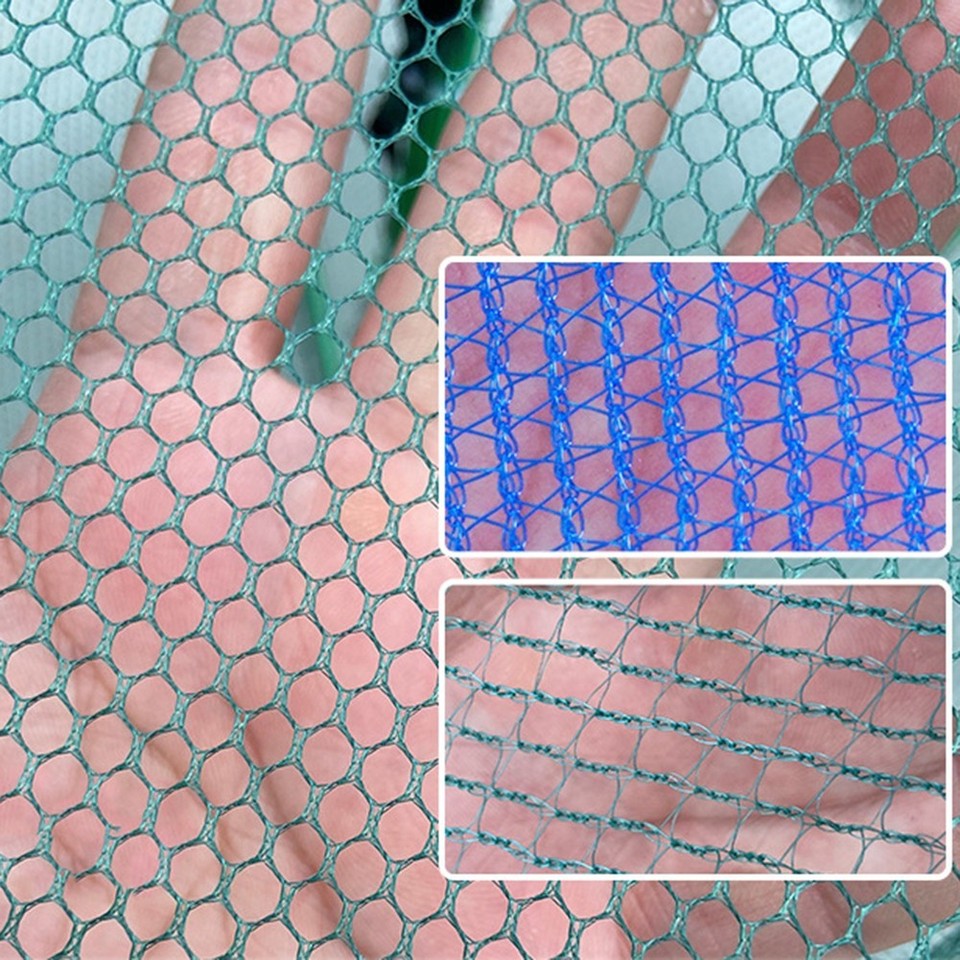 Fishing Net Aquatic Species Net Easy Entry For Bait Handcrafted Design ...