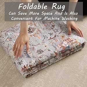 Area Rug 2x3 Washable Rug Door Mat Vintage Distressed Doormat Indoor ...