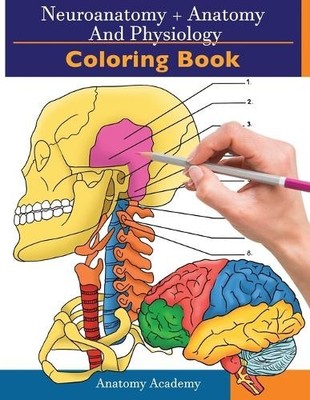 Clement Harrison Neuroanatomy + Anatomy and Physiology Coloring Book ...