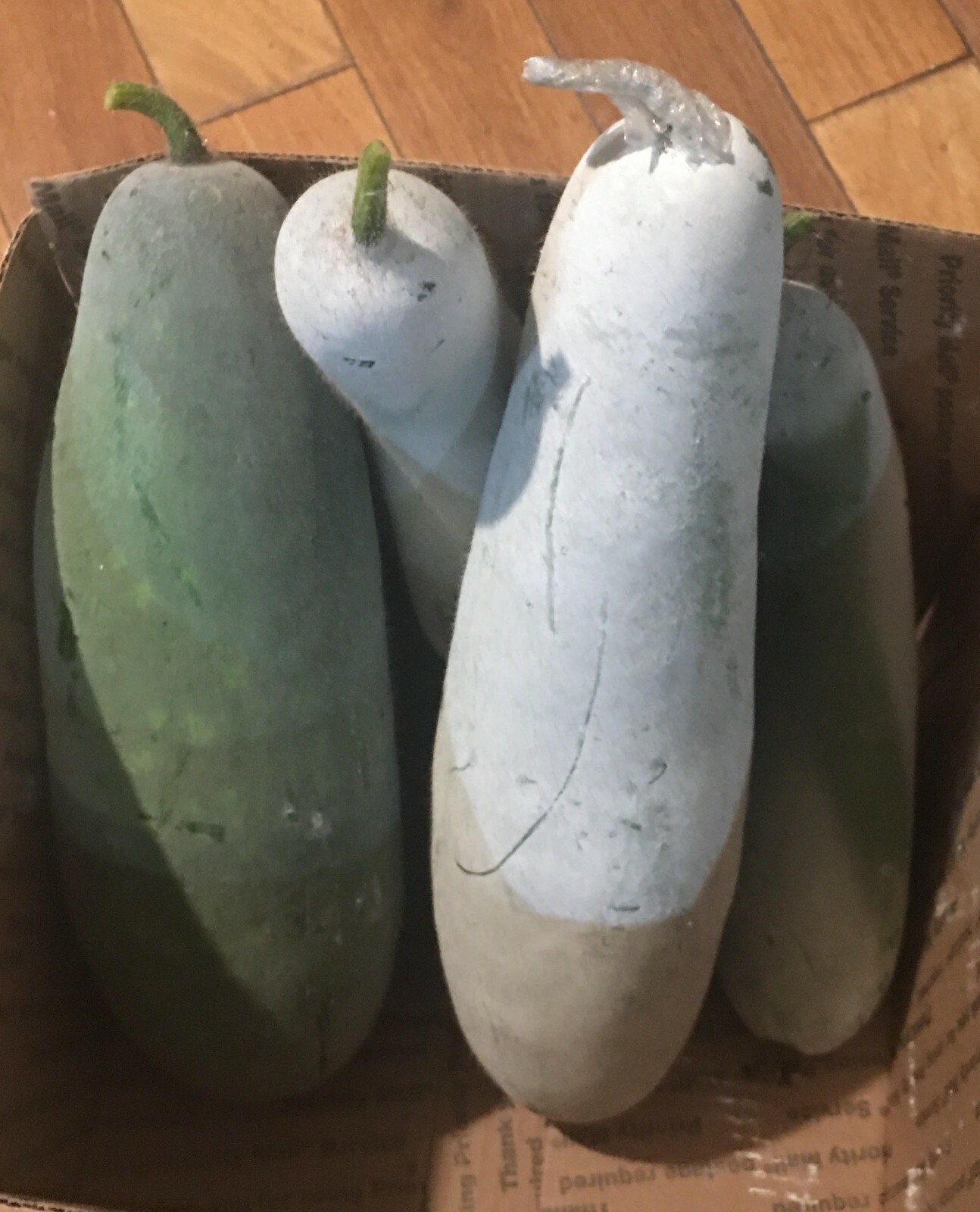 15+ Organic Hairy skin gourd seeds Fuzzy melon Wax gourd Hairy melon ...