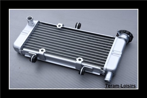 Radiator For Honda CBR 250 R 2011 2012 2013 / NEW | eBay