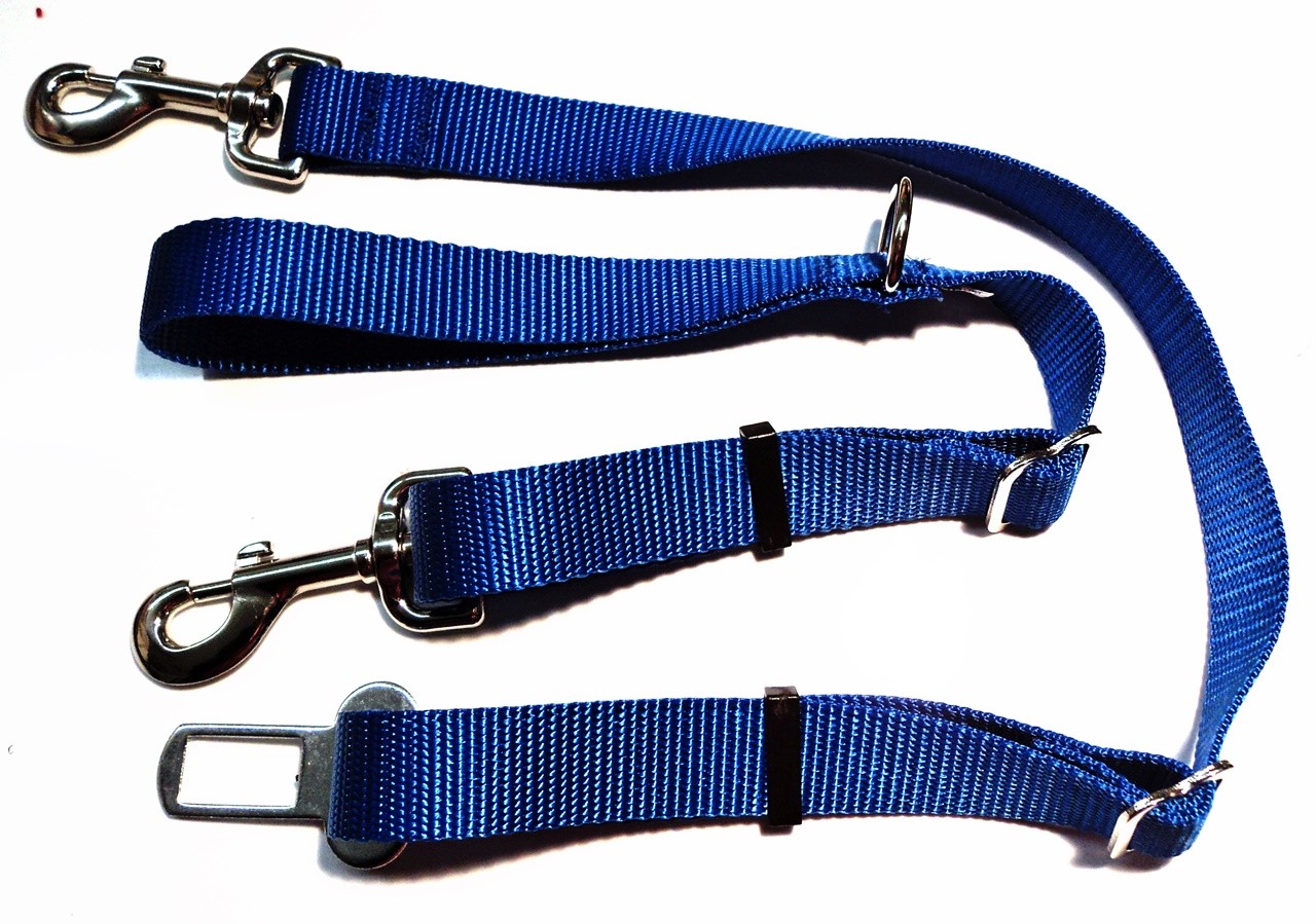 1"Adjustable Nylon Dog Leash with D-Ring & Seat Belt ~ Made in USA ...
