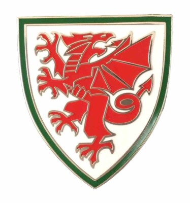LARGE WALES ENAMEL PIN BADGE CYMRU INTERNATIONAL TEAM FOOTBALL LOGO ...