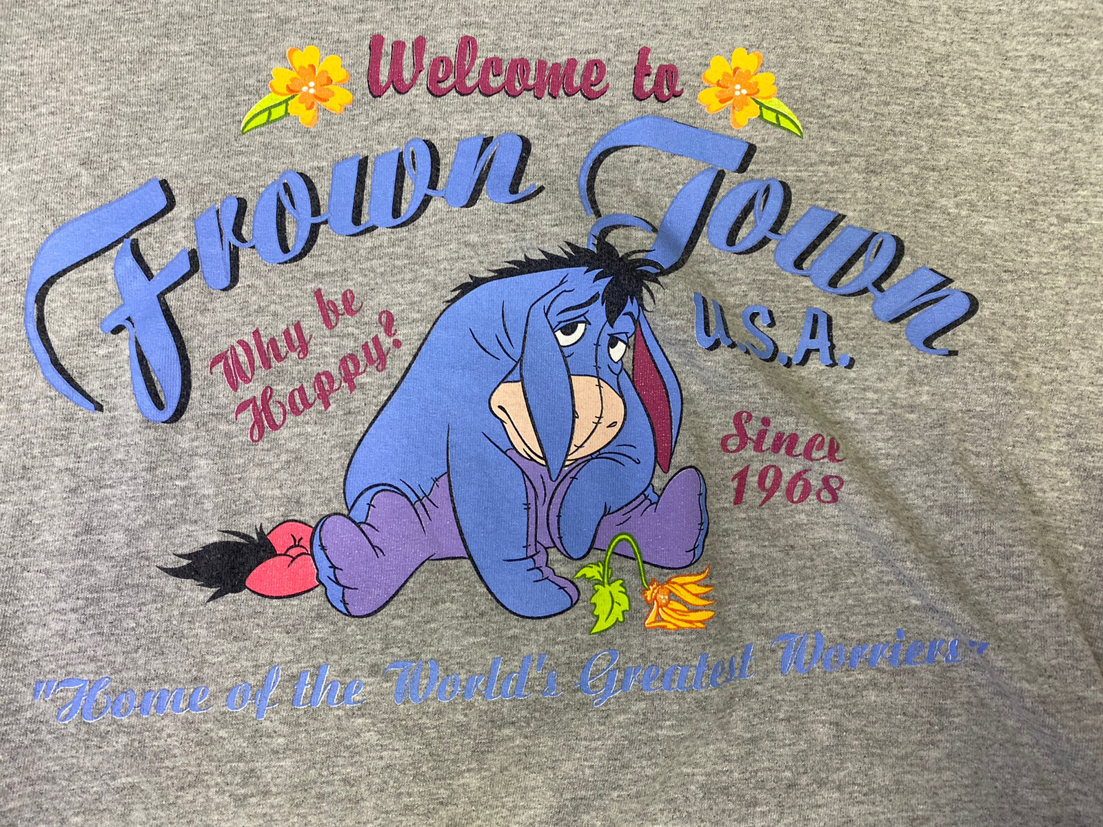 Eeyore "Welcome to Frown Town" Women's Large Gray T-Shirt EUC | eBay