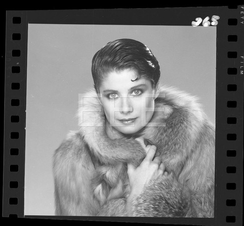 Deborah Adair FUR Movie Actress Model Harry Langdon Negative w/rights ...
