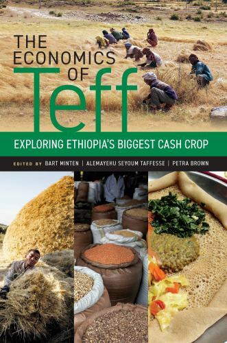 Economics of Teff, Ethiopia's Biggest Cash Crop by Alemayehu Seyoum ...