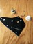 EVH FRANKENSTEIN FRANKENSTRAT TRIBUTE GUITAR BUILD KIT | eBay
