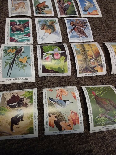Lot- 16 Vintage National Wildlife Federation Stamps UNUSED | eBay