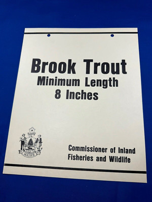 C.1965 NOS Maine Game Warden Sign BROOK TROUT 8"LENGTH 11"x 9" Camp ...