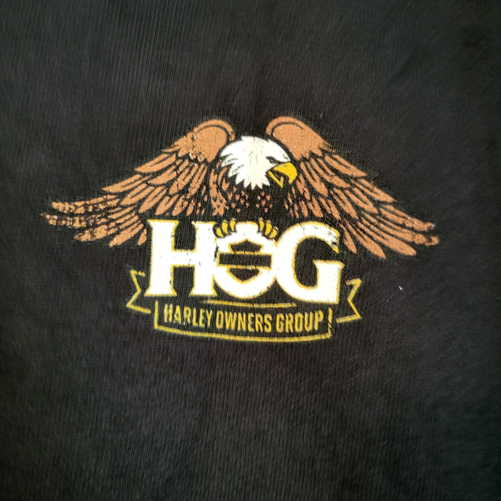 Harley Davidson HOG Official Riding Group Graphic T s… - Gem