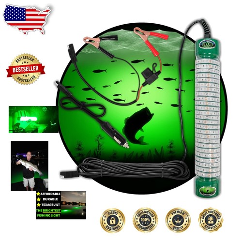 Portable 12V LED Fishing Lights with 30ft Cord - Attracts Snook and ...