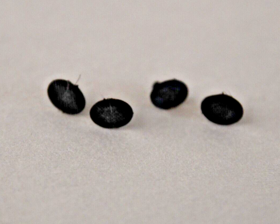 LIMA 4 PK BL OVAL BUFFERS L5106-07 FITS CL 55 31 37 42 50 52 DELTIC ...