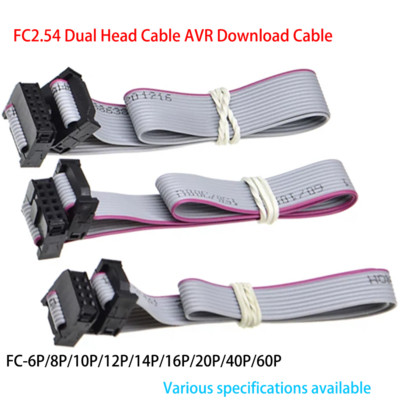 FC2.54 Dual-Gray-JTAG Cable AVR Download Cable IDC Cable 6P/8/10/12/14 ...