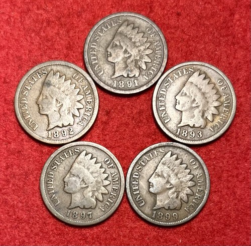 (5) Vintage Indian Head Pennies 1 Cent US Coins Penny Lot 1890s AG or ...