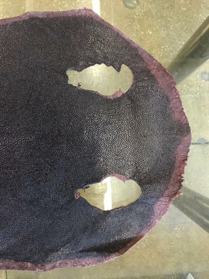 Natural Brown Shagreen Stingray Skin | eBay