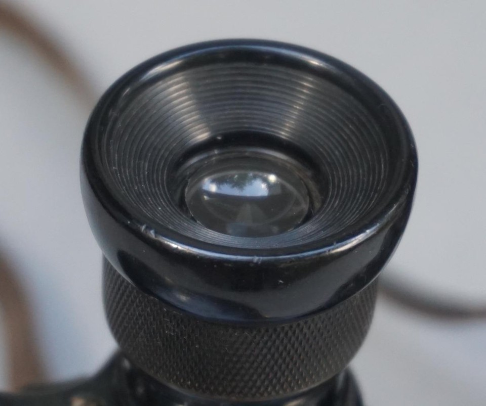 Original German WWII Era 6x30 Binoculars (Dienstglas) By Busch Rathenow ...