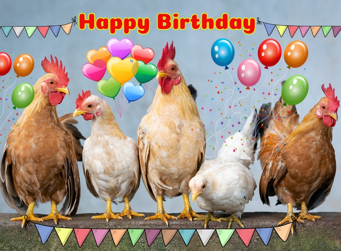 Personalised Happy Birthday Chickens Card A5 Chicken Custom Blank ...