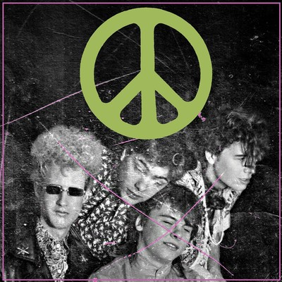 The Flaming Lip Scratching the Door: The First Recordings of the ...