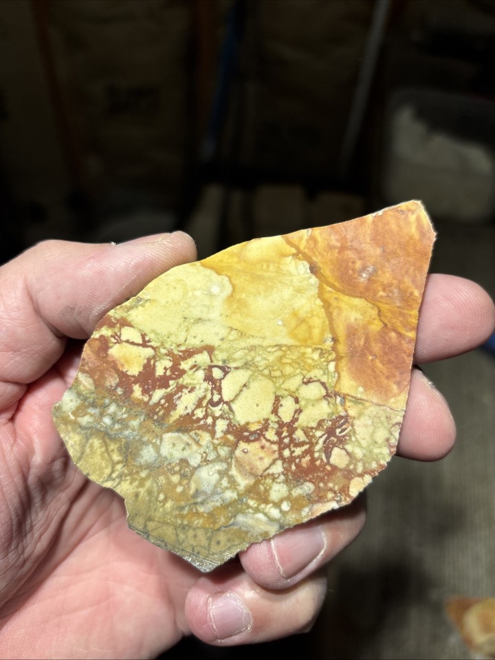 Dead Camel Jasper - Nevada 3 1/2” X 2 1/8 Jasper Lapidary Rough Slab ...