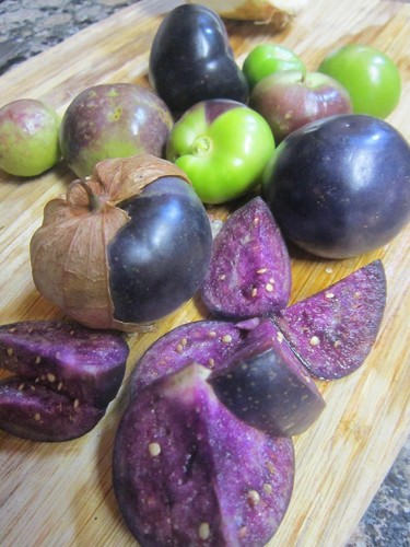Tomatillo Purple - 10+ graines - Semillas - Grains - EXOTIQUE et FINE ...