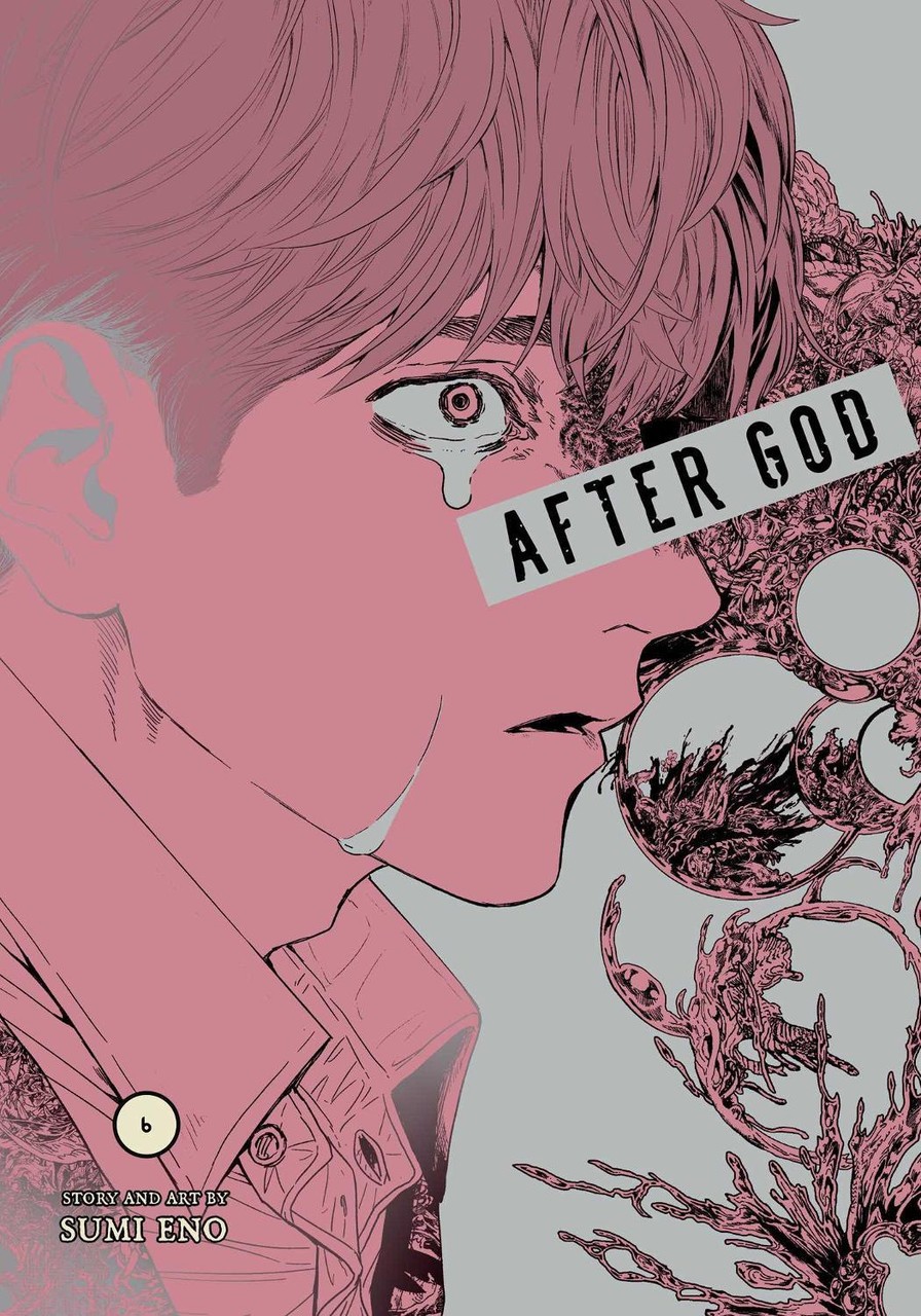 After God Vol. 6: Volume 6 By Sumi Eno - New Copy - 9781974758302 | eBay