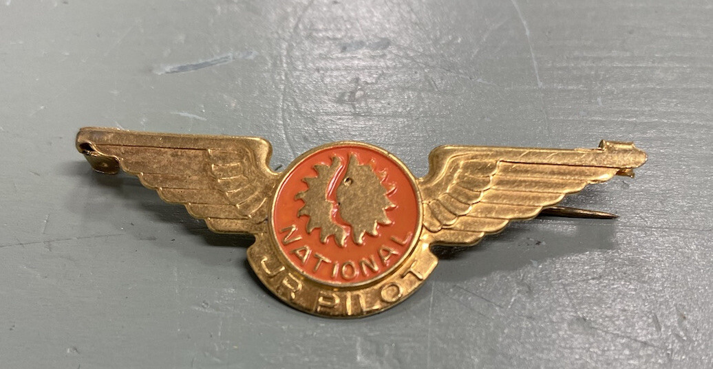 Flying Wings Pin
