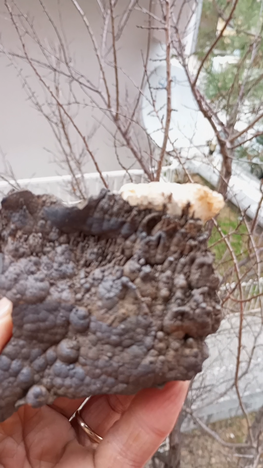 Beautiful Rare Stalactite and Botryoidal Black Goethite | eBay