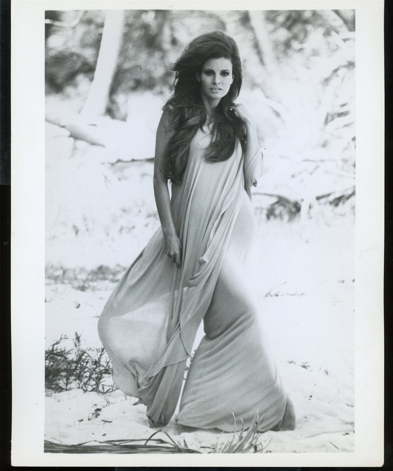 RAQUEL WELCH Original 1960s 8 x 10 Sexy Ethereal DBW Glamour Press ...