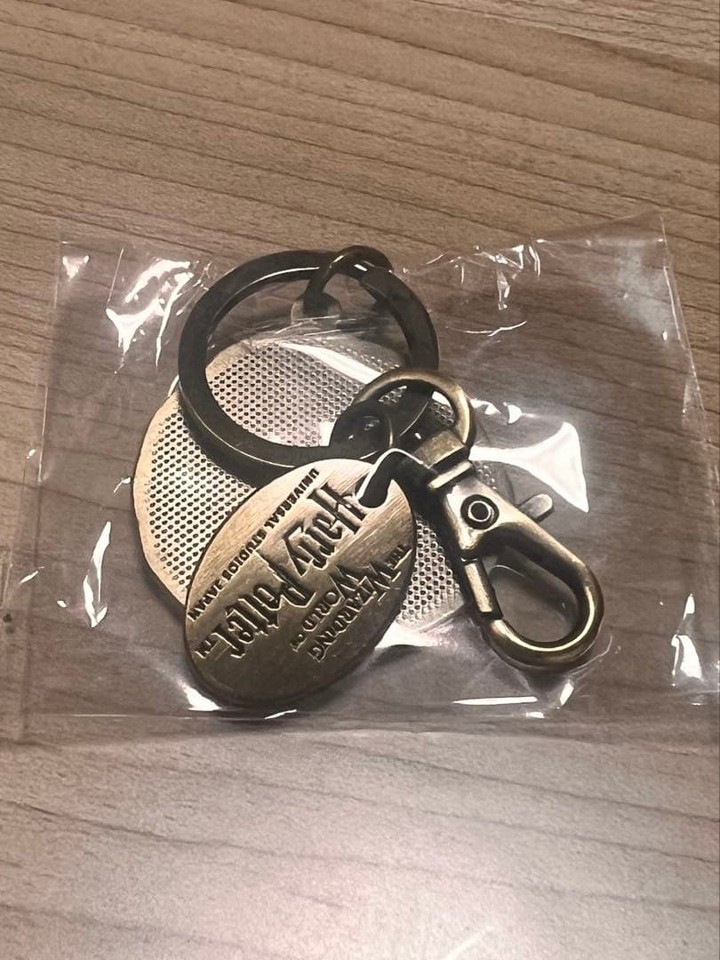 Harry Potter Ministry of Magic Keychain | eBay