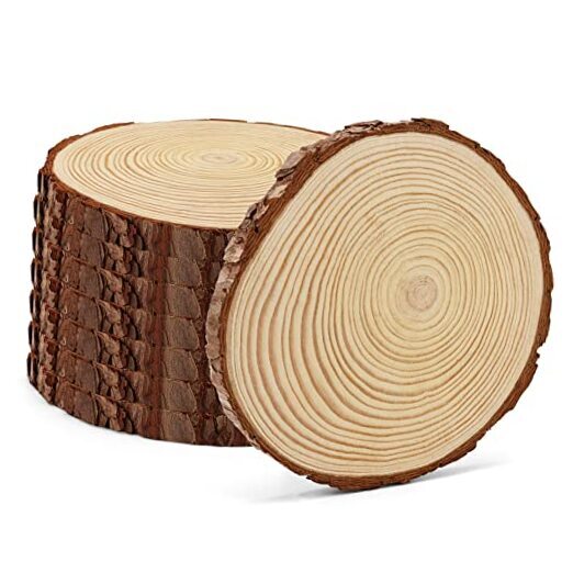 ches Natural Wood Slices, Tree Bark Wood Slices for Crafts, 8 PCS 8-9 ...