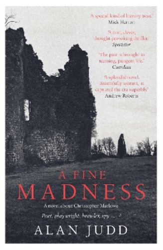 Alan Judd A Fine Madness (Poche) 9781471180248 | eBay