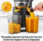 Zulay Kitchen Cold Press Masticating Juicer | eBay