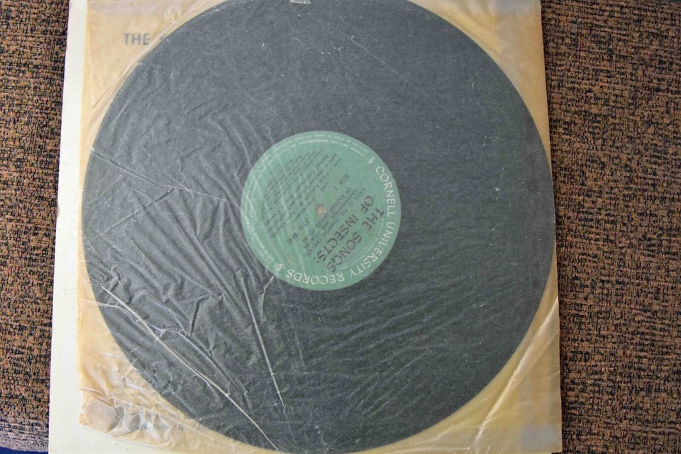Vintage The Songs of Insects, Cornell University Records, LP Vinyl ...