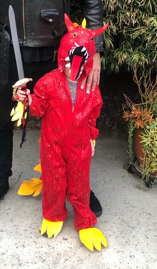 PRINCESS PARADISE Child Red Dragon Halloween Costume … - Gem