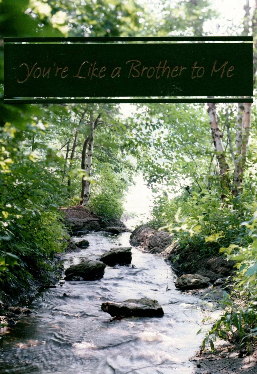 Like A Brother To Me