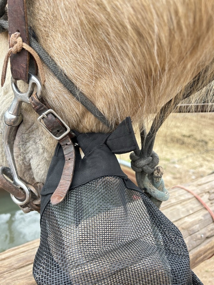 Horse Grazing Muzzle, Hand Made, no eat, no bite, mule muzzle, equine ...
