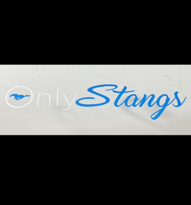 Only Stangs Sticker Decal For Ford Mustang Gt Svt Gt500 Fans | eBay