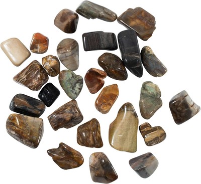 The Chrysalis Stone | Tumbled Stones | Petrified Wood | 1/2 LB | Bulk ...