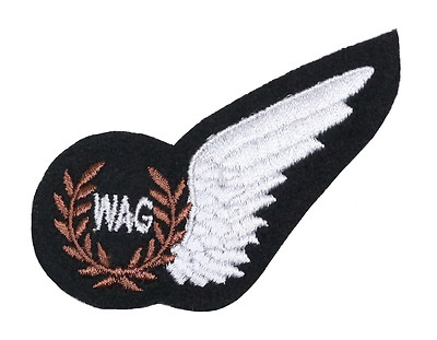 WW2 British RAF WAG WIRELESS OPERATOR/AIR GUNNER WING Flying Badge ...