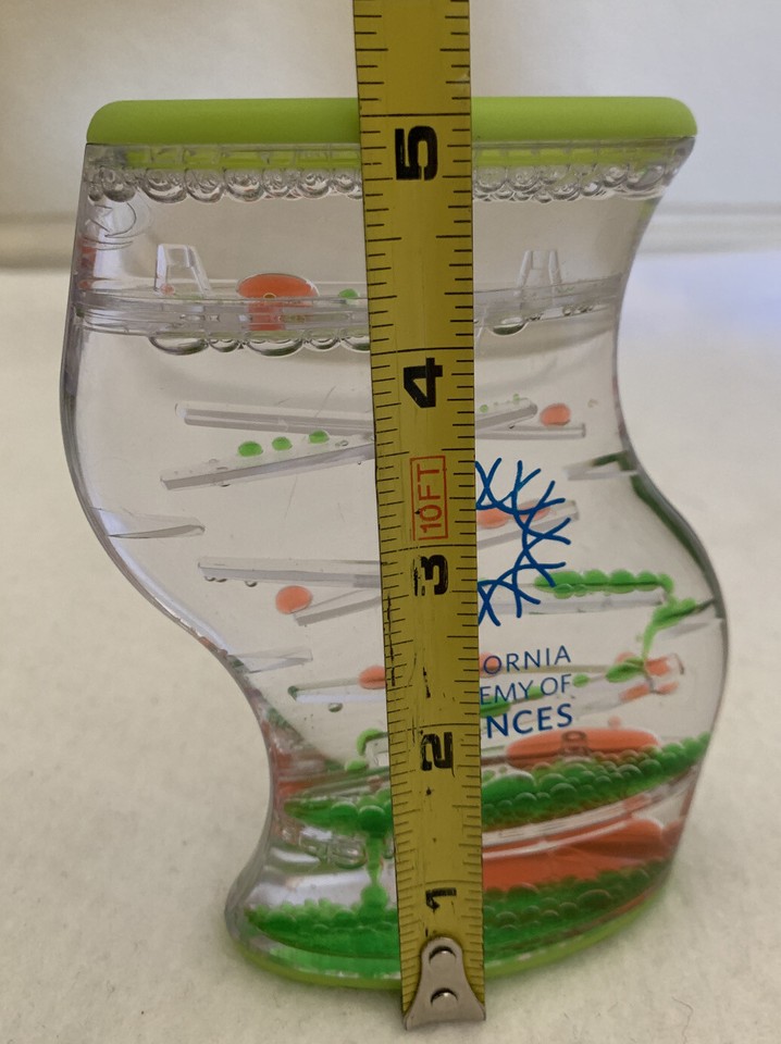 S Shaped Liquid Bubble Motion Timer Calming Relieve Stress - CA Academy ...