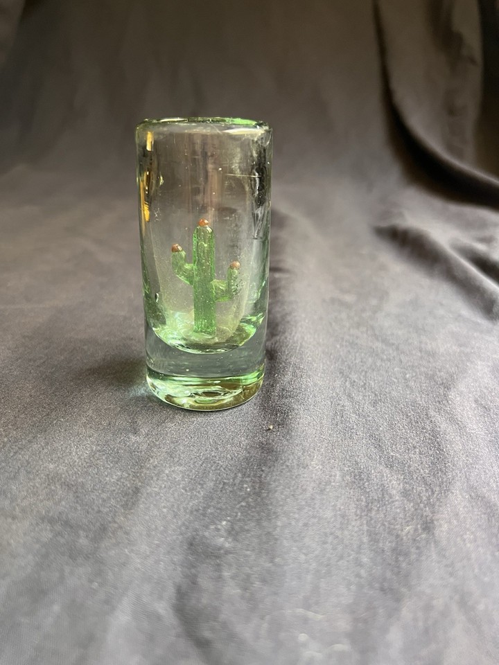 Shot Glass Clear Small Light Green Cactus On Inside | eBay