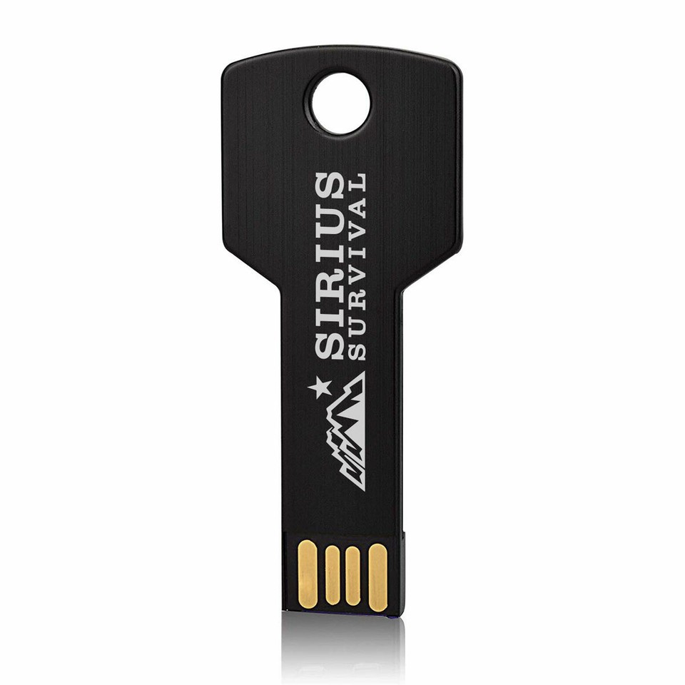Secure Key Ring Style 128GB USB Flash Drive | eBay