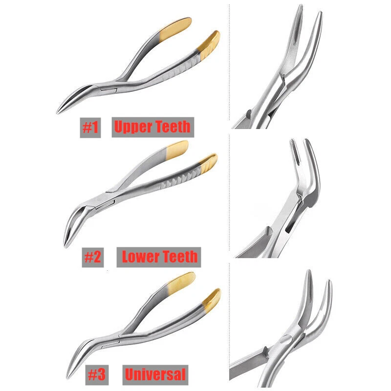Dental Tooth Extraction Forceps Pliers Elevator Apical Root, 52% OFF