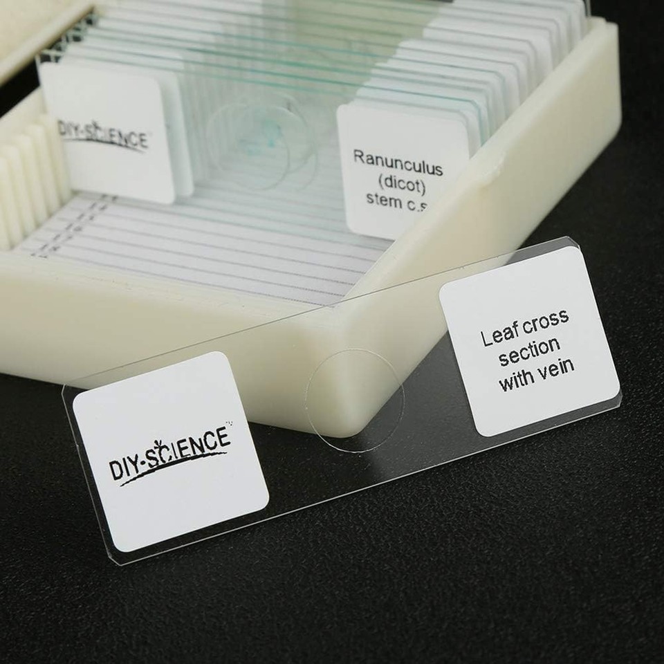 Prepared Microscope Slides Set for Apologia Biology, Pack of 16Pcs ...