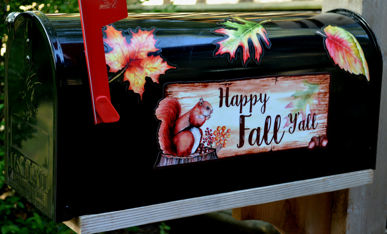 Mailbox Magnet (Partial Cover) Happy Fall Y'all Squirrel Set of 3 ...