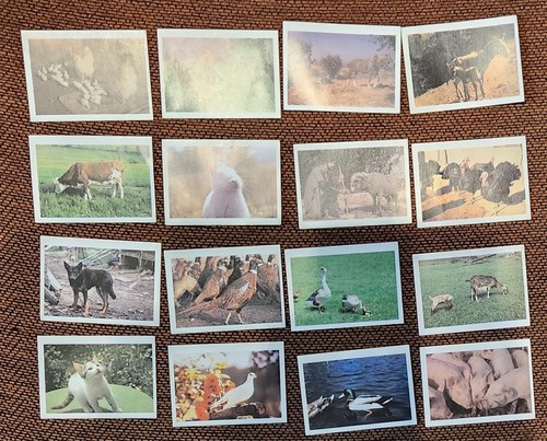 16 petites images bon point collection animaux 5 x 8 | eBay