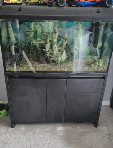 Fish Tank Aquarium With Stand 50cm High 100cm Width. Cabinet - 70cm X ...