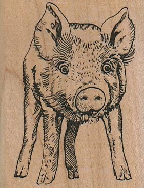 Pigface 2 x 2 1/2" Rubber Stamp, Animal Stamp, Pig Stamp | eBay