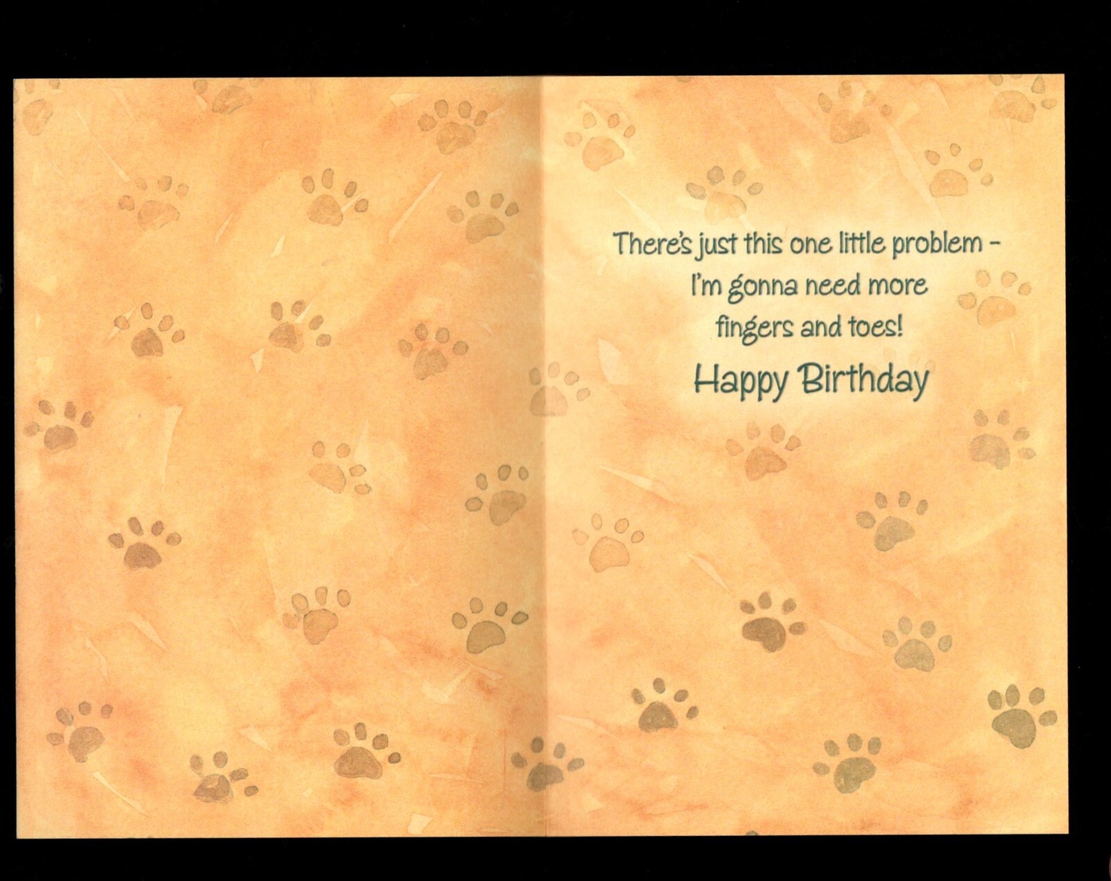 HTF Birthday Cat Flowers Watering Can Margaret Sherry Greeting Card W ...