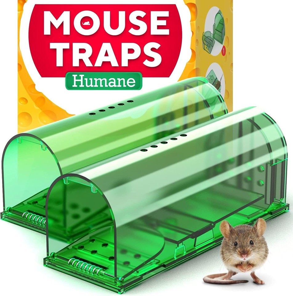 Humane Mouse Trap | Catch and Release Mouse Traps That Rat | Mice Trap ...